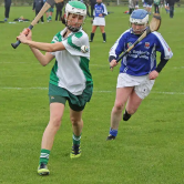 Camogie App Blog